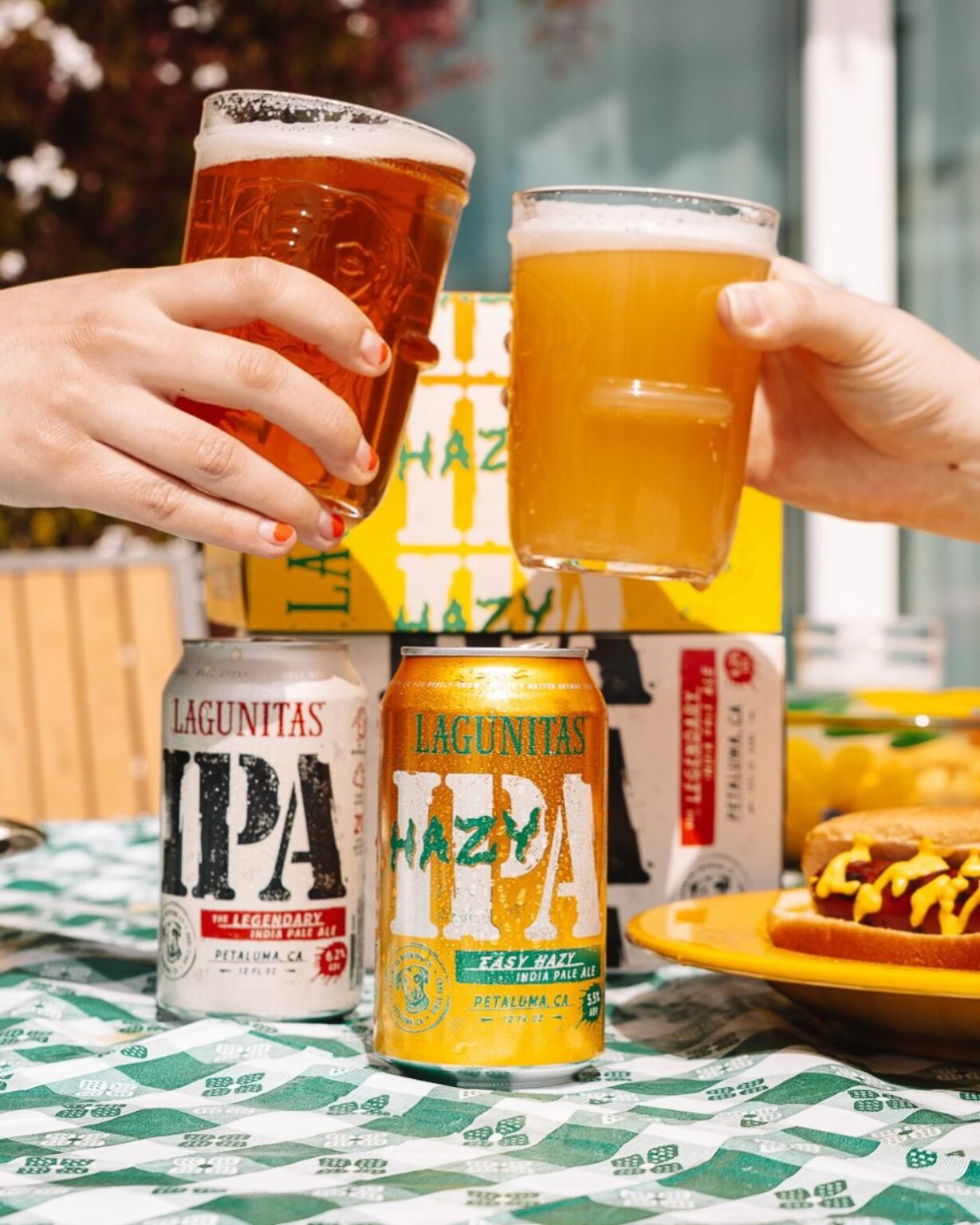 An Early Craft Titan Back on Top: How Lagunitas Has Refreshed and ...